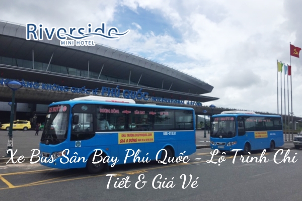 Xe Bus Sân Bay Phú Quốc - Lộ Trình Chi Tiết & Giá Vé